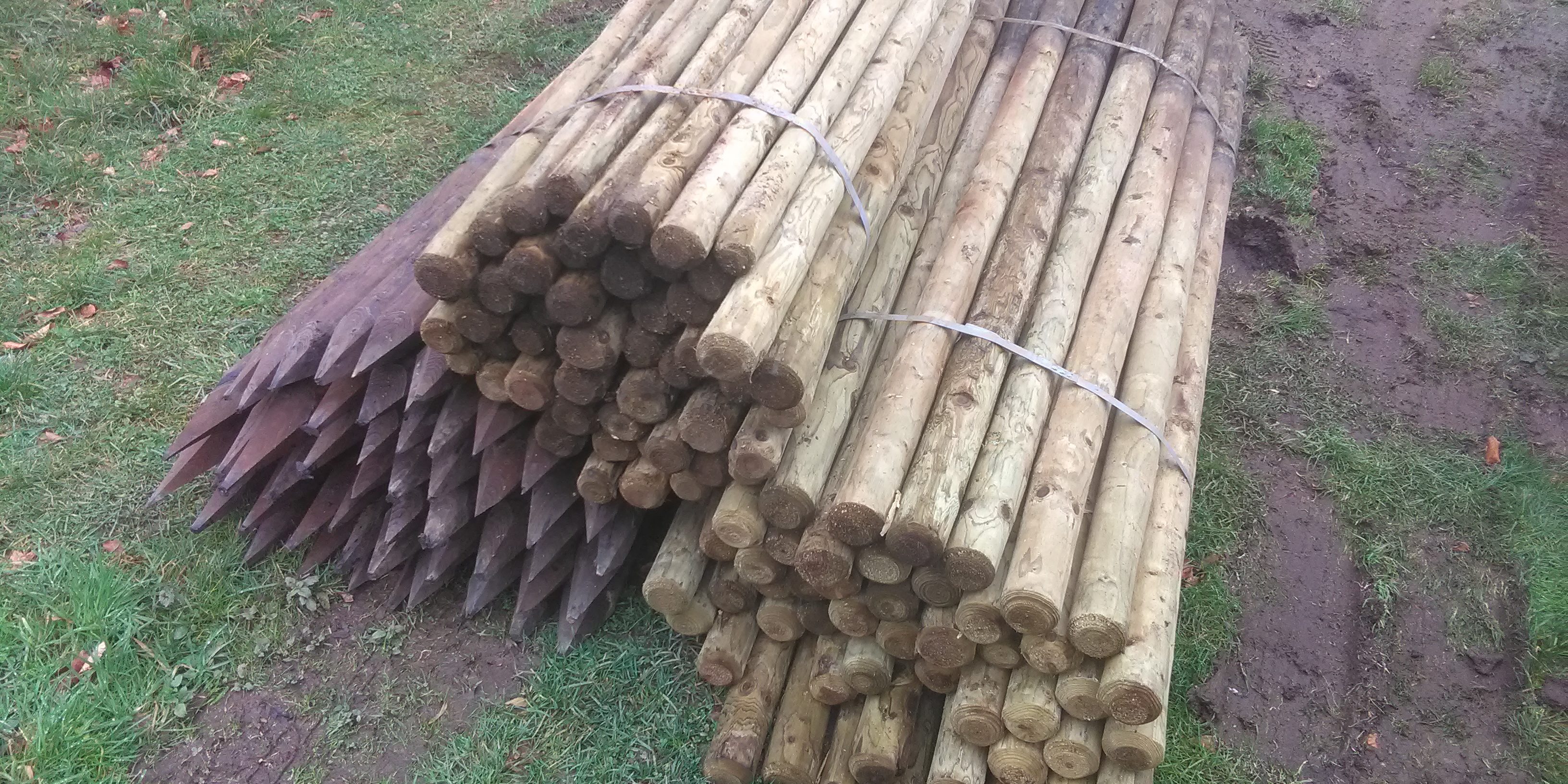 150 Stickel! - KAY WEINE